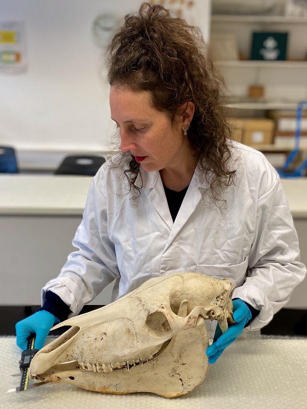 People | ANSOC: Animals and Society in Bronze Age Europe